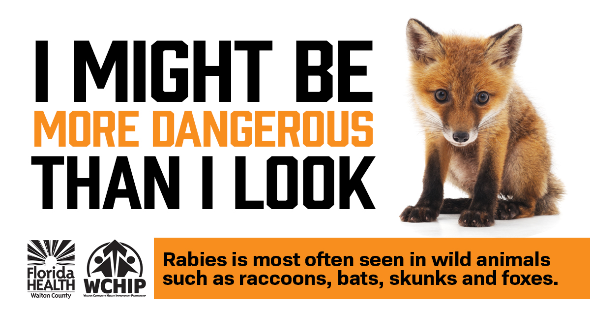 Rabies Prevention Messaging Toolkit - Florida Department of Health in ...