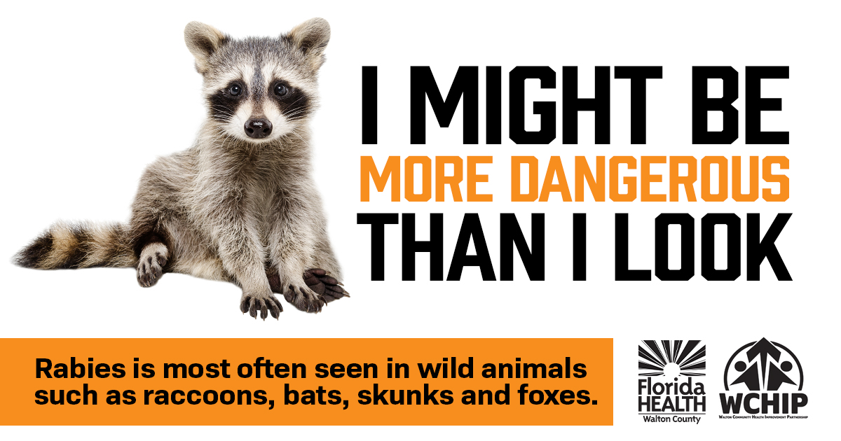 Rabies Prevention Messaging Toolkit - Florida Department of Health in ...